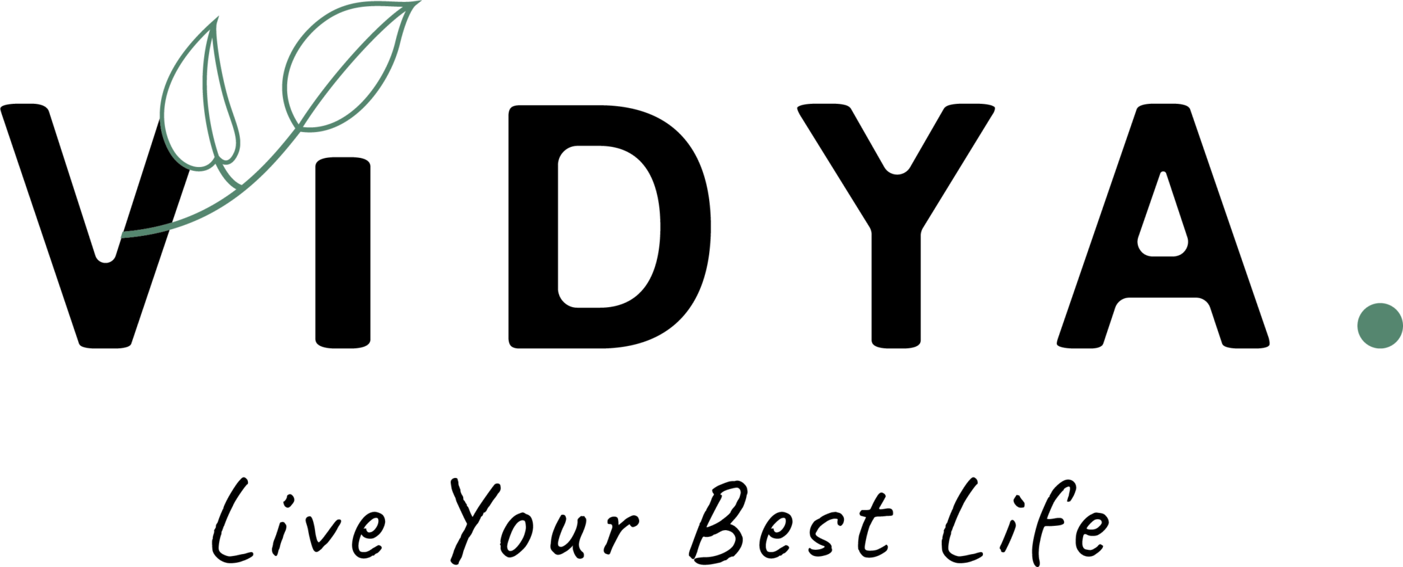 Vidya.shop - Wello Life