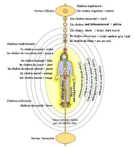 Carlo Vander Noot -Geobiologist -Bioenergetician - Bioelectricity ...